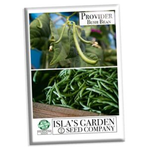 provider bush green bean seeds for planting, 30+ heirloom seeds per packet, (isla’s garden seeds), non gmo seeds, botanical name: phaseolus vulgaris, great home garden gift