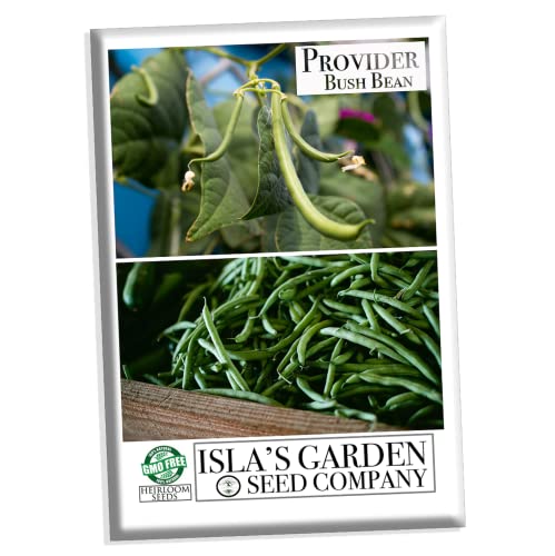 Provider Bush Green Bean Seeds for Planting, 30+ Heirloom Seeds Per Packet, (Isla's Garden Seeds), Non GMO Seeds, Botanical Name: Phaseolus vulgaris, Great Home Garden Gift