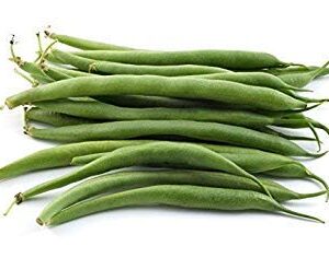 Provider Bush Green Bean Seeds for Planting, 30+ Heirloom Seeds Per Packet, (Isla's Garden Seeds), Non GMO Seeds, Botanical Name: Phaseolus vulgaris, Great Home Garden Gift