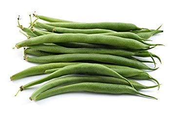 Provider Bush Green Bean Seeds for Planting, 30+ Heirloom Seeds Per Packet, (Isla's Garden Seeds), Non GMO Seeds, Botanical Name: Phaseolus vulgaris, Great Home Garden Gift