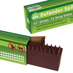 de-bird: defender spikes, cat and bird deterrent – outdoor pest defender to keep off pigeon, squirrel, woodpecker & more, plastic deterrent anti theft climb strips – 12pk [12 foot]