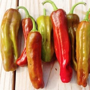 david’s garden seeds pepper specialty pepperoncini sweet greek golden 7899 (gold) 25 non-gmo, heirloom seeds