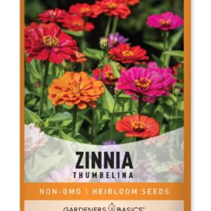 Zinnia Seeds for Planting Outdoors Flowers (Thumbelina) - Flower Seed Packet Annual Flower Heirloom, Non-GMO Variety- 800mg Seeds Great for Summer Seeds for Flower Gardens by Gardeners Basics