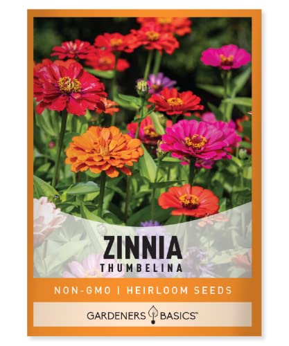 Zinnia Seeds for Planting Outdoors Flowers (Thumbelina) - Flower Seed Packet Annual Flower Heirloom, Non-GMO Variety- 800mg Seeds Great for Summer Seeds for Flower Gardens by Gardeners Basics