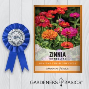 Zinnia Seeds for Planting Outdoors Flowers (Thumbelina) - Flower Seed Packet Annual Flower Heirloom, Non-GMO Variety- 800mg Seeds Great for Summer Seeds for Flower Gardens by Gardeners Basics