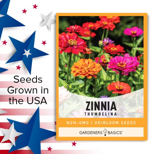 Zinnia Seeds for Planting Outdoors Flowers (Thumbelina) - Flower Seed Packet Annual Flower Heirloom, Non-GMO Variety- 800mg Seeds Great for Summer Seeds for Flower Gardens by Gardeners Basics