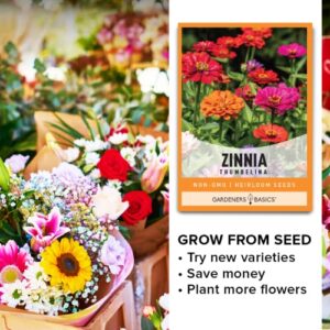 Zinnia Seeds for Planting Outdoors Flowers (Thumbelina) - Flower Seed Packet Annual Flower Heirloom, Non-GMO Variety- 800mg Seeds Great for Summer Seeds for Flower Gardens by Gardeners Basics