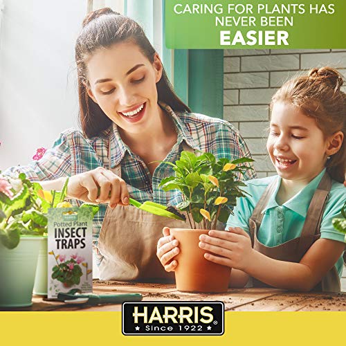 Harris Potted Plant Insect Traps for Gnats, Aphids, Whiteflies and More (30 Traps, 7 Stakes)