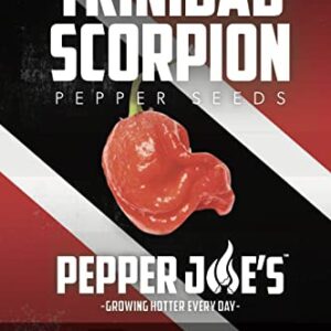 Pepper Joe’s Trinidad Scorpion Pepper Seeds ­­­­­– Pack of 10+ Superhot Trinidad Scorpion Chili Pepper Seeds – USA Grown ­– Premium Non-GMO Scorpion Seeds for Planting in Your Garden