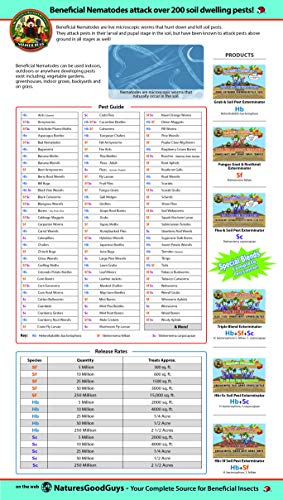 Bug Sales 10 Million Live Beneficial Nematodes Hb & Sf - Kills Over 200 Different Species of Soil Dwelling and Wood Boring Insects.