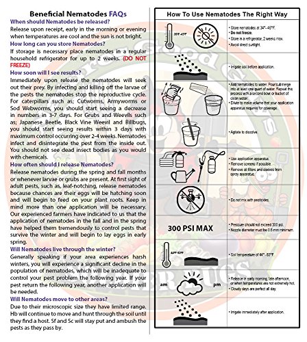 Bug Sales 10 Million Live Beneficial Nematodes Hb & Sf - Kills Over 200 Different Species of Soil Dwelling and Wood Boring Insects.