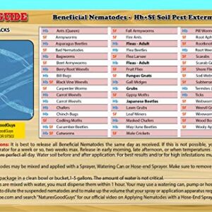 Bug Sales 10 Million Live Beneficial Nematodes Hb & Sf - Kills Over 200 Different Species of Soil Dwelling and Wood Boring Insects.