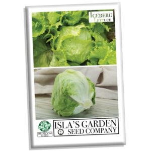 iceberg lettuce seeds for planting, 2500+ heirloom seeds per packet, (isla’s garden seeds), non gmo seeds, botanical name: lactuca sativa var, great home garden gift