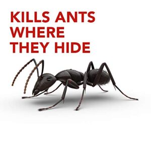 Raid Ant Killer Baits, For Household Use, Kills the Colony, Kills Ants for 3 Months, Child Resistant, 4 Count