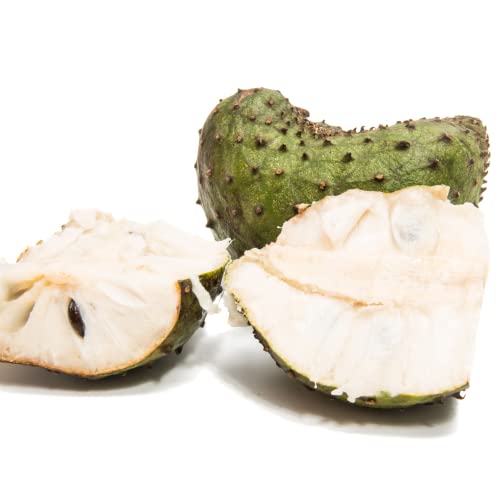 Soursop Giant Tropical Fruit Plant, 10 Seeds Planting Ornaments Perennial Garden Grow Pot Gifts