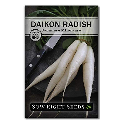 Sow Right Seeds - Japanese Minowase Daikon Radish Seed for Planting - Non-GMO Heirloom Packet with Instructions to Plant a Home Vegetable Garden - Great Gardening Gift (1)