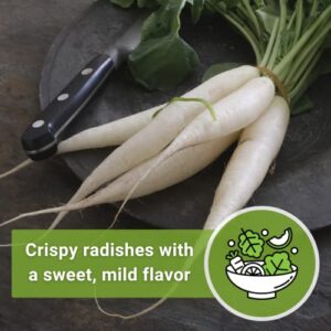 Sow Right Seeds - Japanese Minowase Daikon Radish Seed for Planting - Non-GMO Heirloom Packet with Instructions to Plant a Home Vegetable Garden - Great Gardening Gift (1)