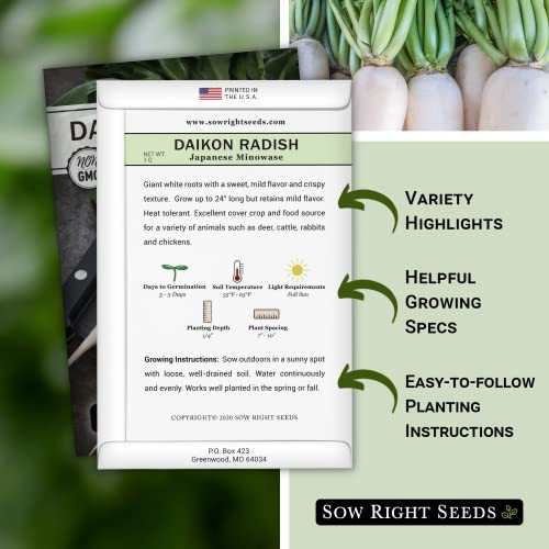 Sow Right Seeds - Japanese Minowase Daikon Radish Seed for Planting - Non-GMO Heirloom Packet with Instructions to Plant a Home Vegetable Garden - Great Gardening Gift (1)