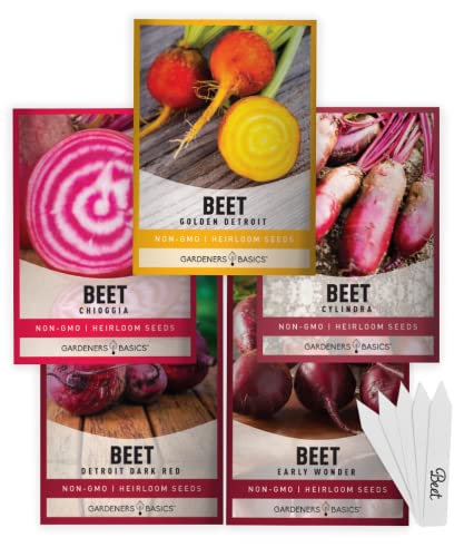 Beet Seeds for Planting Home Garden - 5 Variety Pack Detroit Dark Red, Golden Detroit, Early Wonder, Cylindria and Chioggia Great for Spring, Summer, Fall, Heirloom Veggie Seeds by Gardeners Basics