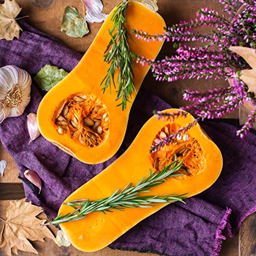 The Old Farmer's Almanac Heirloom Winter Squash Seeds (Waltham Butternut) - Approx 40 Seeds - Non-GMO, Open Pollinated, USA Origin