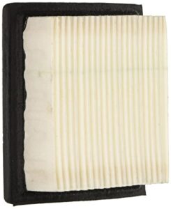 tecumseh 36046 air filter