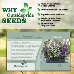 Outsidepride Angelonia Serena Summer Snapdragon Garden Flower Plant Seed Mix - 40 Seeds