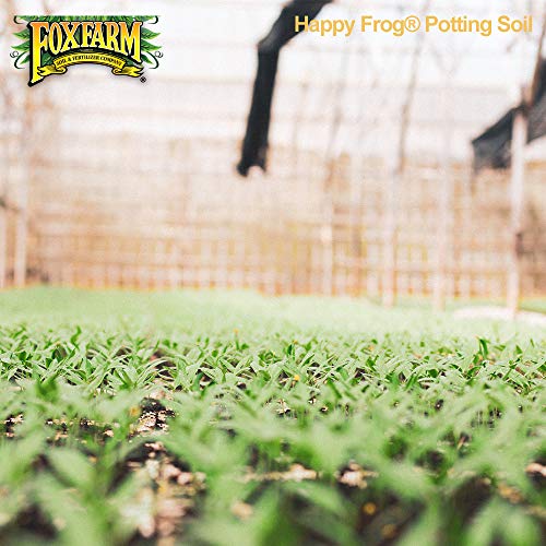 Fox Farm Happy Frog Organic Potting Soil Mix Indoor Outdoor Garden Plants, 51.4 Quart(2 cu ft) ( Bundled with Pearsons Protective Gloves)