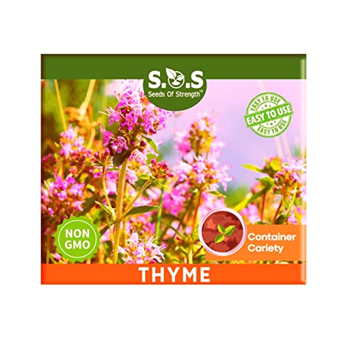 Seeds Of Strength Thyme Seeds - 2000 Mix Red Creeping Thymus Ground Cover Bulk for Planting Flower Home Garden