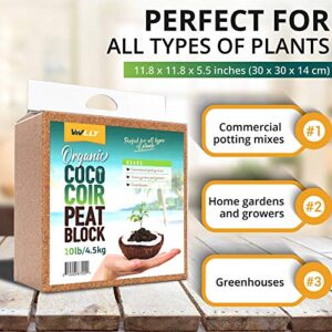 Compressed Coco Coir Block 10 Pounds, Natural Seed Starter with Low EC and pH Balance, Enhance Root Growth in Herbs, Flowers, and House Plants, Organic with High Expansion - by Vivlly