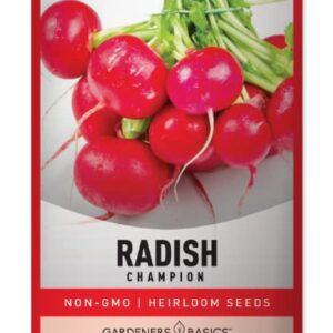 Radish Seeds for Planting - Champion Variety Heirloom, Non-GMO Vegetable Seed - 2 Grams of Seeds Great for Outdoor Spring, Winter and Fall Gardening by Gardeners Basics