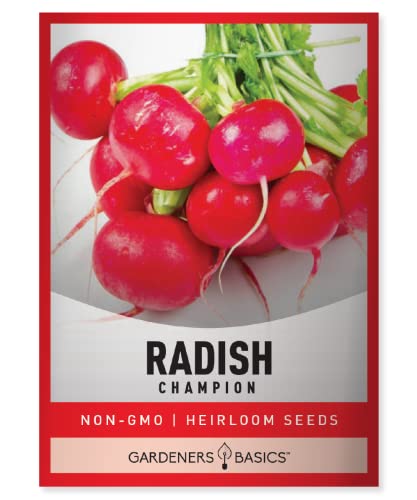 Radish Seeds for Planting - Champion Variety Heirloom, Non-GMO Vegetable Seed - 2 Grams of Seeds Great for Outdoor Spring, Winter and Fall Gardening by Gardeners Basics