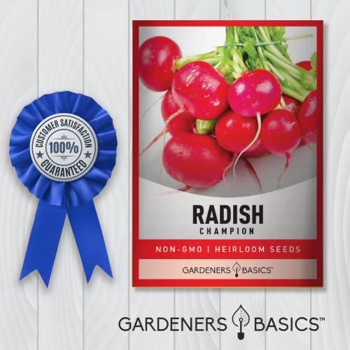 Radish Seeds for Planting - Champion Variety Heirloom, Non-GMO Vegetable Seed - 2 Grams of Seeds Great for Outdoor Spring, Winter and Fall Gardening by Gardeners Basics