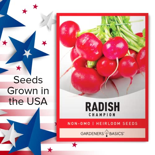 Radish Seeds for Planting - Champion Variety Heirloom, Non-GMO Vegetable Seed - 2 Grams of Seeds Great for Outdoor Spring, Winter and Fall Gardening by Gardeners Basics