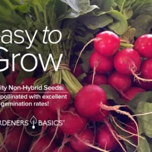 Radish Seeds for Planting - Champion Variety Heirloom, Non-GMO Vegetable Seed - 2 Grams of Seeds Great for Outdoor Spring, Winter and Fall Gardening by Gardeners Basics