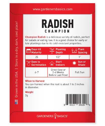 Radish Seeds for Planting - Champion Variety Heirloom, Non-GMO Vegetable Seed - 2 Grams of Seeds Great for Outdoor Spring, Winter and Fall Gardening by Gardeners Basics