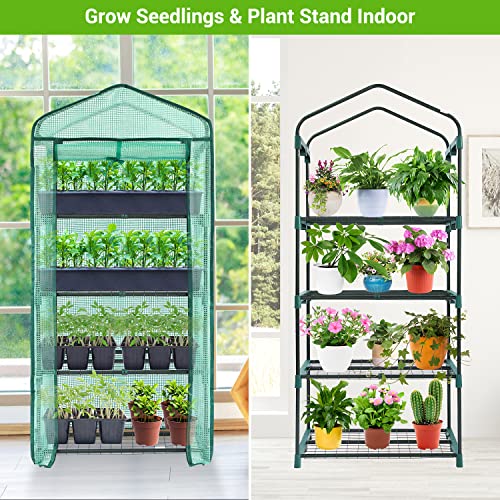 Ohuhu Mini Greenhouse for Indoor Outdoor, Small Plastic Plant Green House 4-Tier Rack Stand Portable Greenhouses with Durable PE Cover for Seedling, 2.5x1.6x5.2 FT, Ideal Gardening Gifts for Women Men