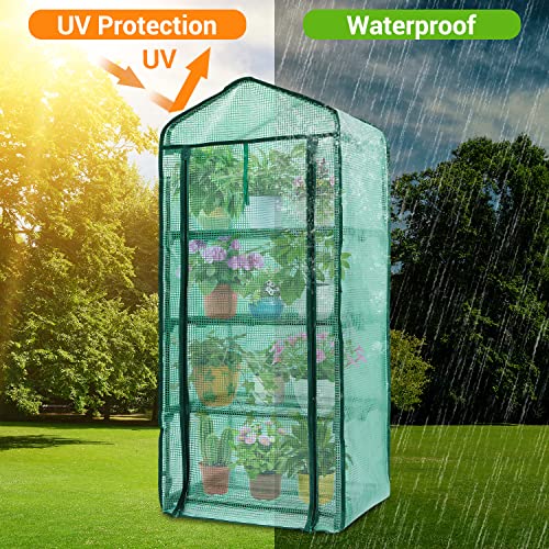 Ohuhu Mini Greenhouse for Indoor Outdoor, Small Plastic Plant Green House 4-Tier Rack Stand Portable Greenhouses with Durable PE Cover for Seedling, 2.5x1.6x5.2 FT, Ideal Gardening Gifts for Women Men