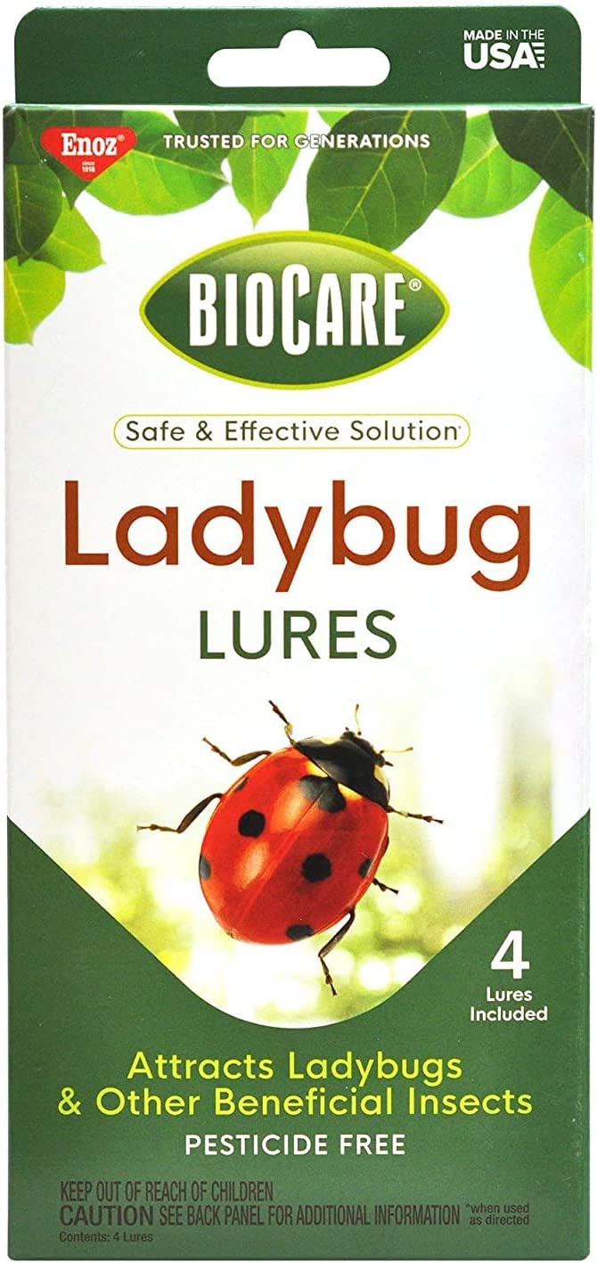 BioCare Ladybug Lures, Nontoxic and Pesticide-Free, Made in USA, 4 Count, Brown - S702