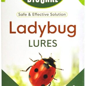 BioCare Ladybug Lures, Nontoxic and Pesticide-Free, Made in USA, 4 Count, Brown - S702