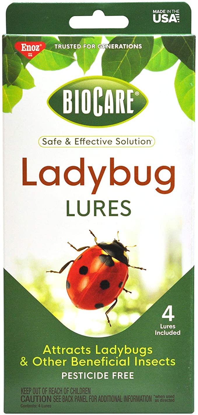 BioCare Ladybug Lures, Nontoxic and Pesticide-Free, Made in USA, 4 Count, Brown - S702