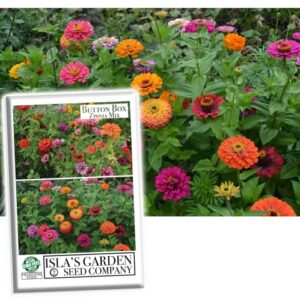 “button box mix” zinnia seeds for planting, 100+ flower seeds per packet, (isla’s garden seeds), non gmo & heirloom seeds, botanical name: zinnia elegans, great home garden gift