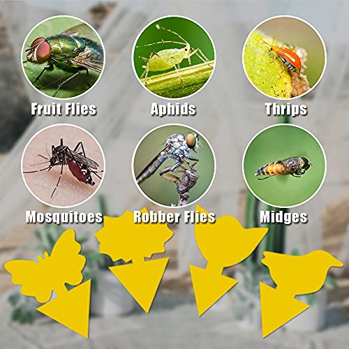 36 Pack Fungus Gnat Traps for House Plants, Yellow Sticky Traps for Indoor Outdoor Use to Get Rid of Whitefly Mosquitoes Fungus Gnats Thrips Leafminer Flying Insects Protect Your Plants