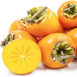 qauzuy garden 5 seeds persimmon seeds diospyros virginiana fruit tree seeds perennial- non-gmo seeds- easy to grow- grow your own delicious persimmon tree