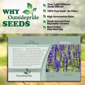 Outsidepride Salvia Sclarea Clary Sage Garden Herb with Essential Oils - 1000 Seeds