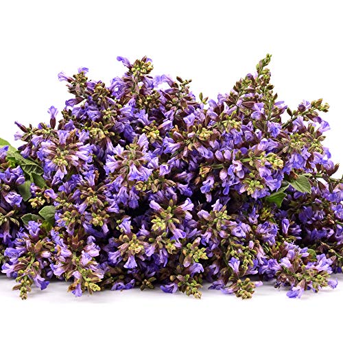 Outsidepride Salvia Sclarea Clary Sage Garden Herb with Essential Oils - 1000 Seeds