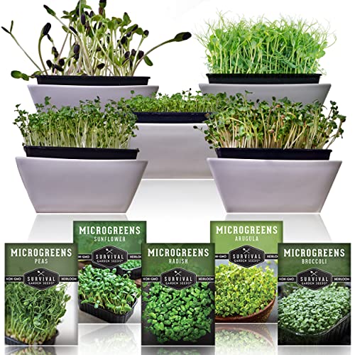 Survival Garden Seeds Microgreens 5 Pack - Instructions to Plant, Sprout, and Grow a Mix of Microgreen Plants in Your Kitchen or on Your Windowsill - Arugula, Broccoli, Radish, Pea, Sunflower Seed