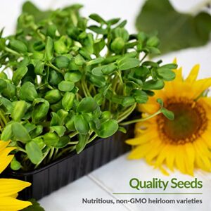 Survival Garden Seeds Microgreens 5 Pack - Instructions to Plant, Sprout, and Grow a Mix of Microgreen Plants in Your Kitchen or on Your Windowsill - Arugula, Broccoli, Radish, Pea, Sunflower Seed