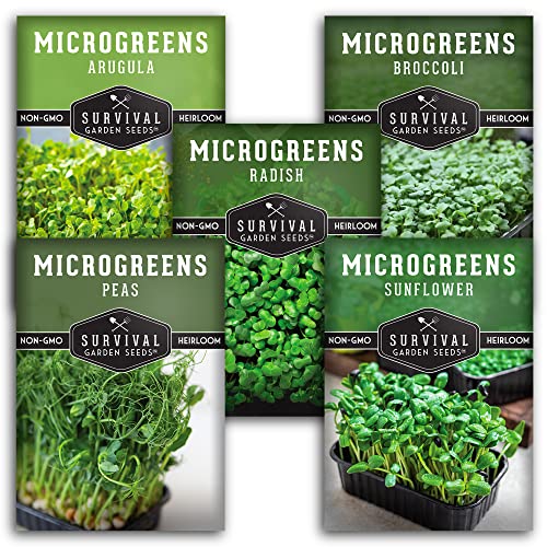 Survival Garden Seeds Microgreens 5 Pack - Instructions to Plant, Sprout, and Grow a Mix of Microgreen Plants in Your Kitchen or on Your Windowsill - Arugula, Broccoli, Radish, Pea, Sunflower Seed