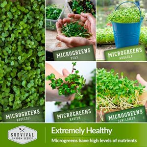 Survival Garden Seeds Microgreens 5 Pack - Instructions to Plant, Sprout, and Grow a Mix of Microgreen Plants in Your Kitchen or on Your Windowsill - Arugula, Broccoli, Radish, Pea, Sunflower Seed