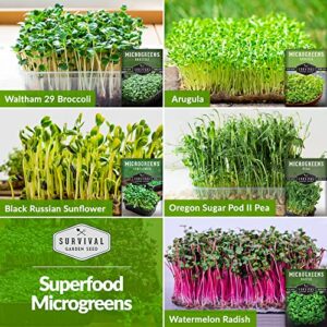 Survival Garden Seeds Microgreens 5 Pack - Instructions to Plant, Sprout, and Grow a Mix of Microgreen Plants in Your Kitchen or on Your Windowsill - Arugula, Broccoli, Radish, Pea, Sunflower Seed